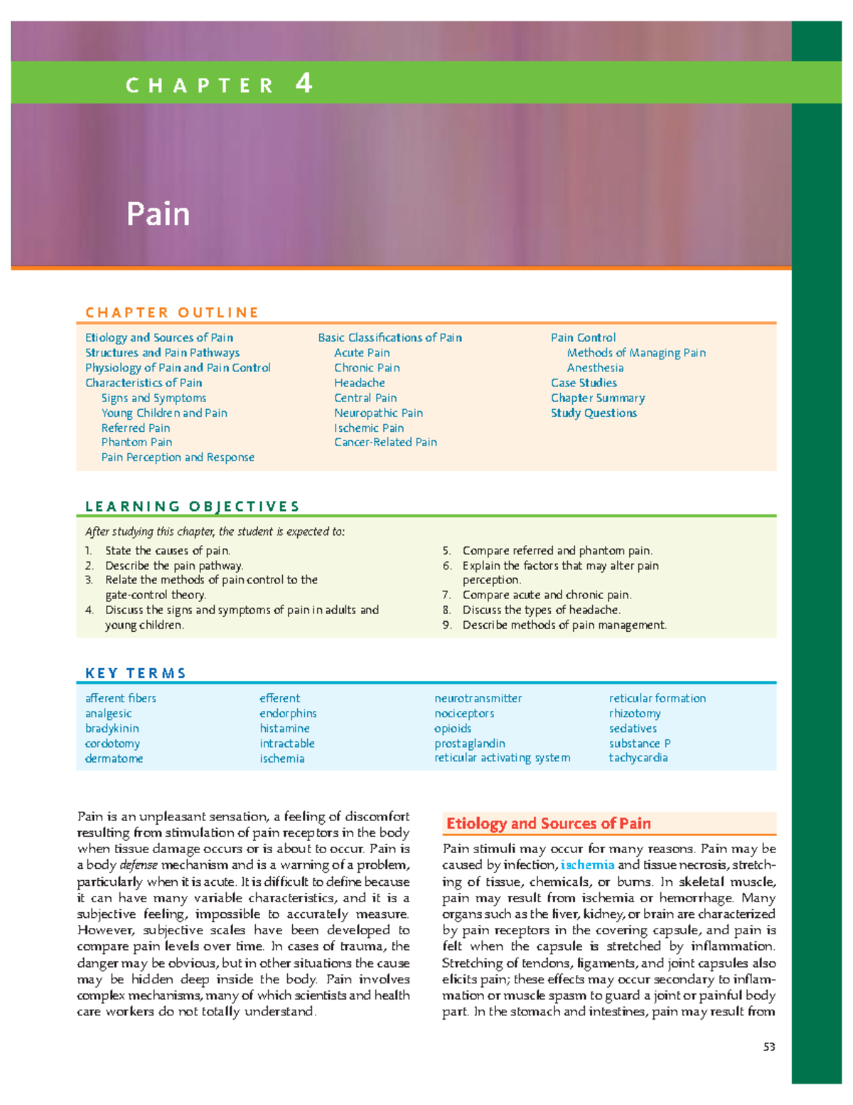 Pain Pathophysiology - Pain patho - !" Etiology and Sources of Pain ...