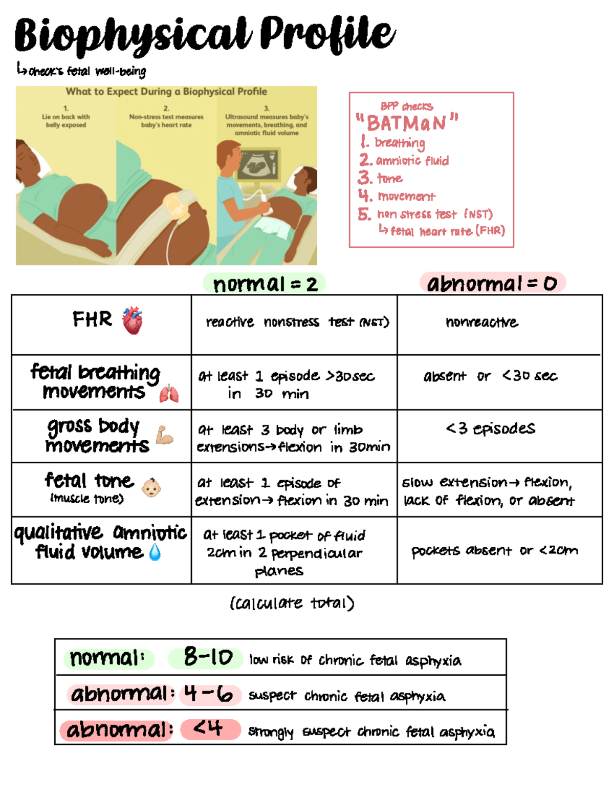 Biophysical Profile - HLTED 502 - Studocu