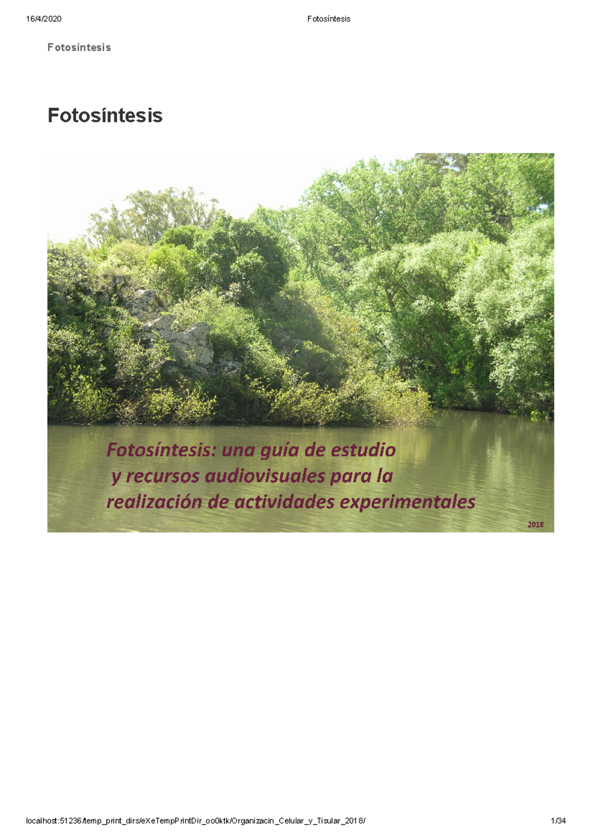 Fotosintesis - weqwe - Fotosíntesis Fotosíntesis Introducción Objetivos ...