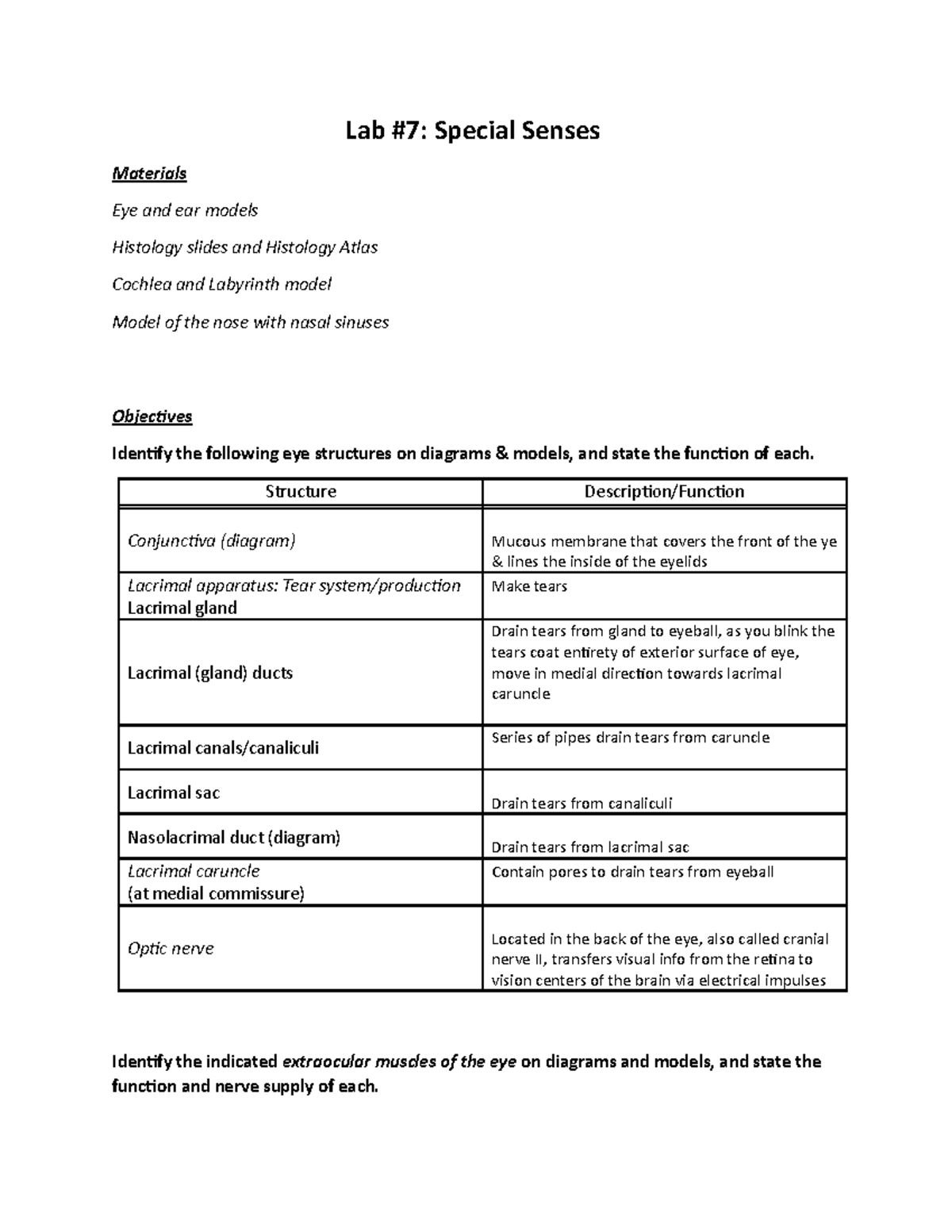 AP 1 Lab Outline - Lab #7: Special Senses Materials Eye and ear models ...