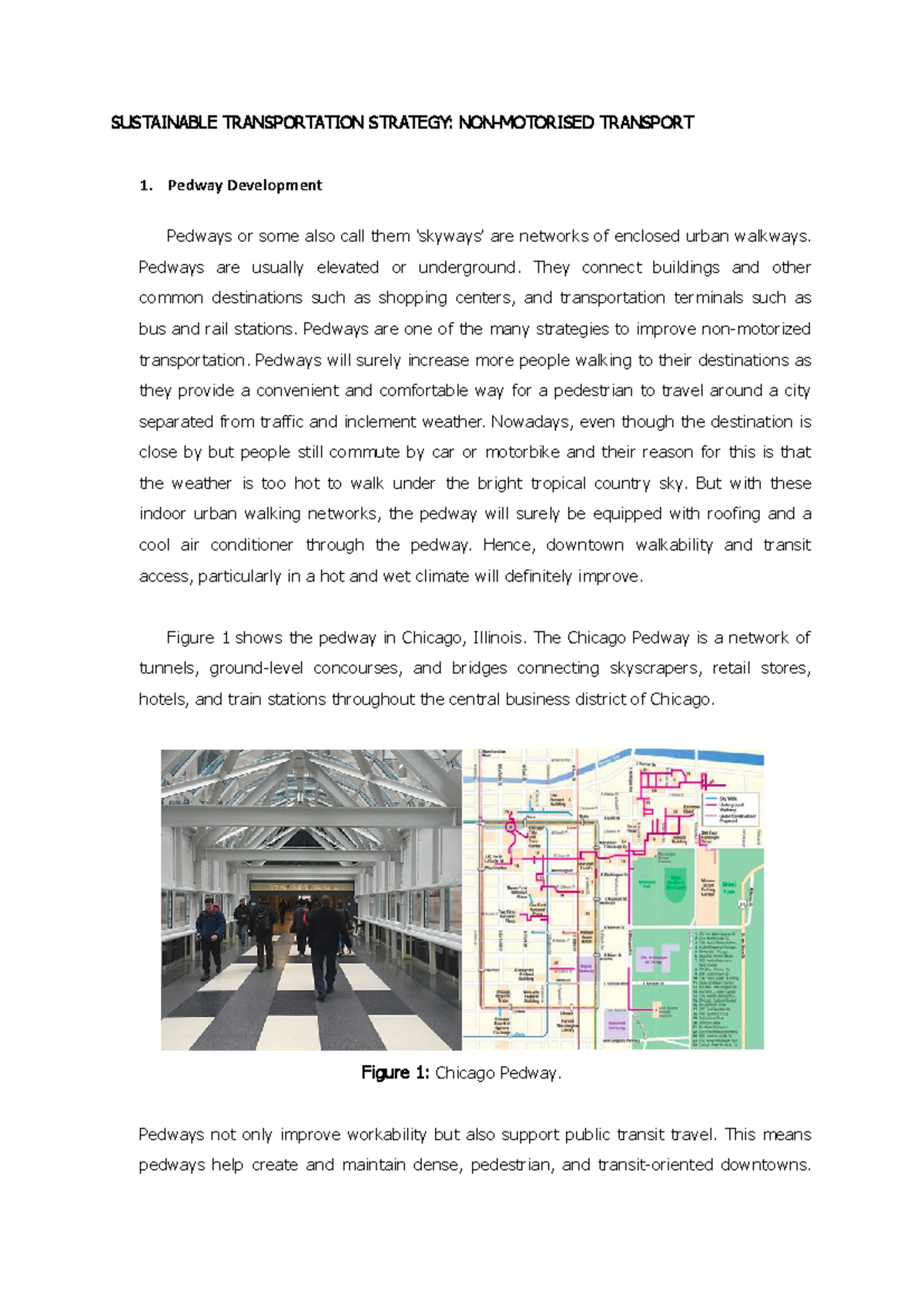 Sustainable Transportation Strategy - SUSTAINABLE TRANSPORTATION ...
