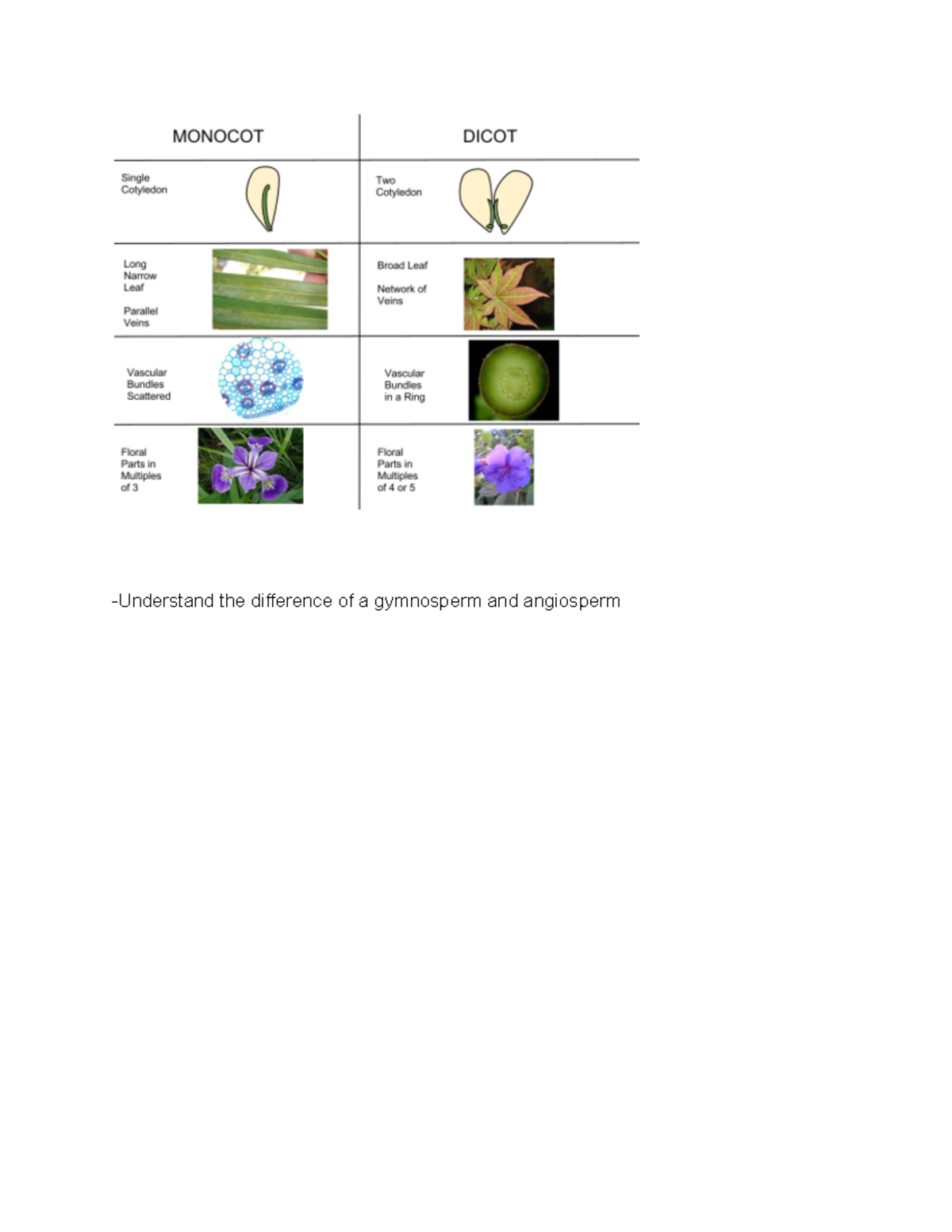 11-20 Personal Bio lab practical study guide -Understand the difference ...
