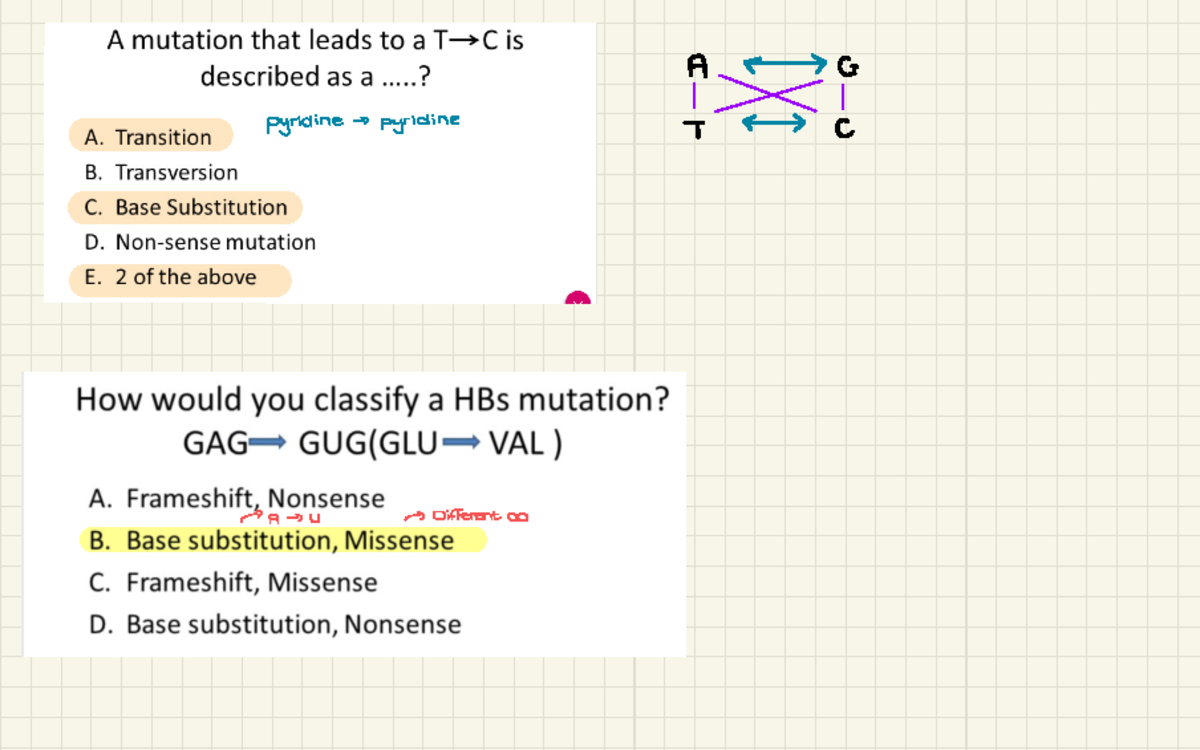 Tut 1 Clickers based on unit 1 work - A mutation that leads to a T C is ...