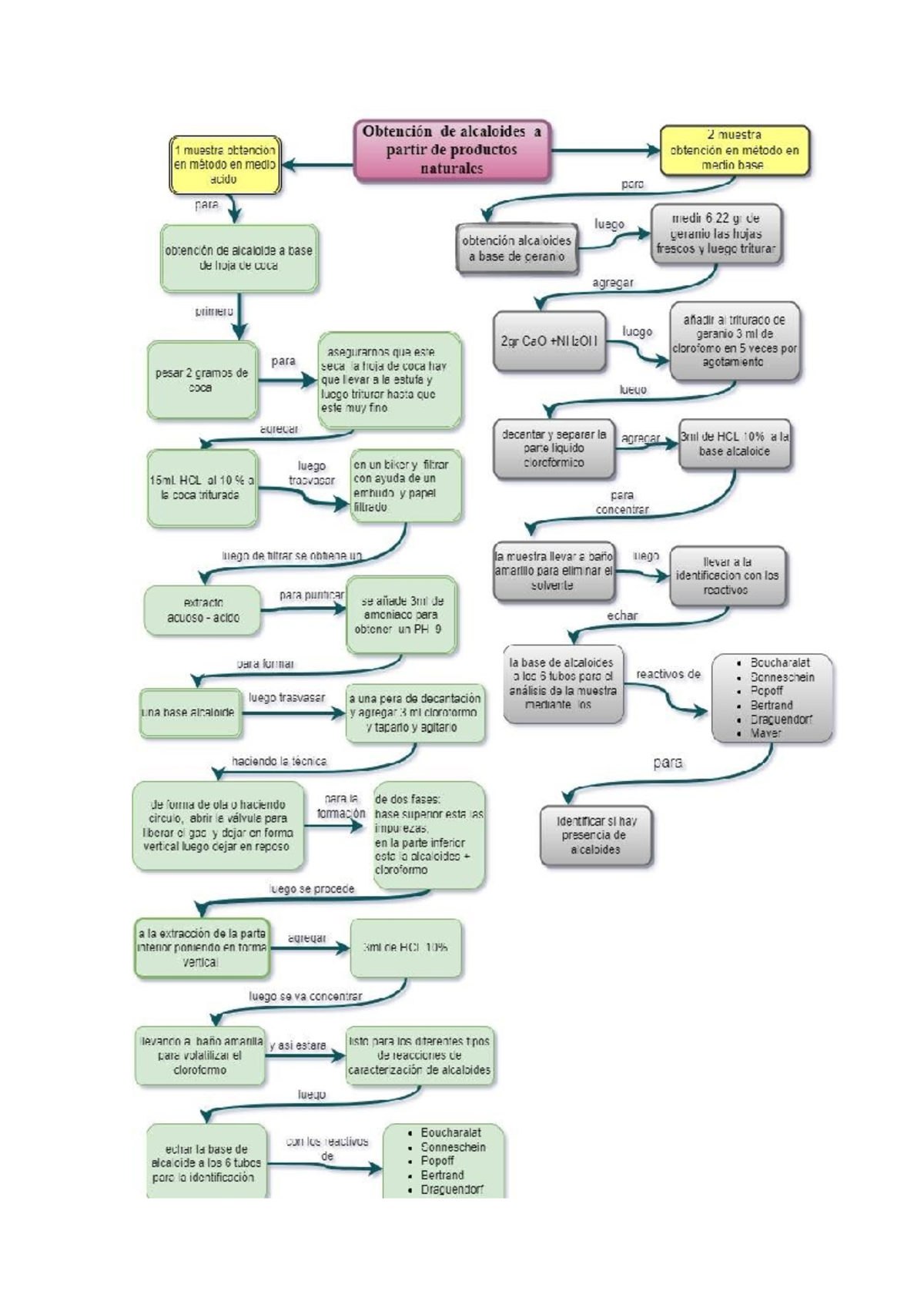 Informe 5 organica 3 - jdjdd - CONCLUSIONES: Los alcaloides pueden ...