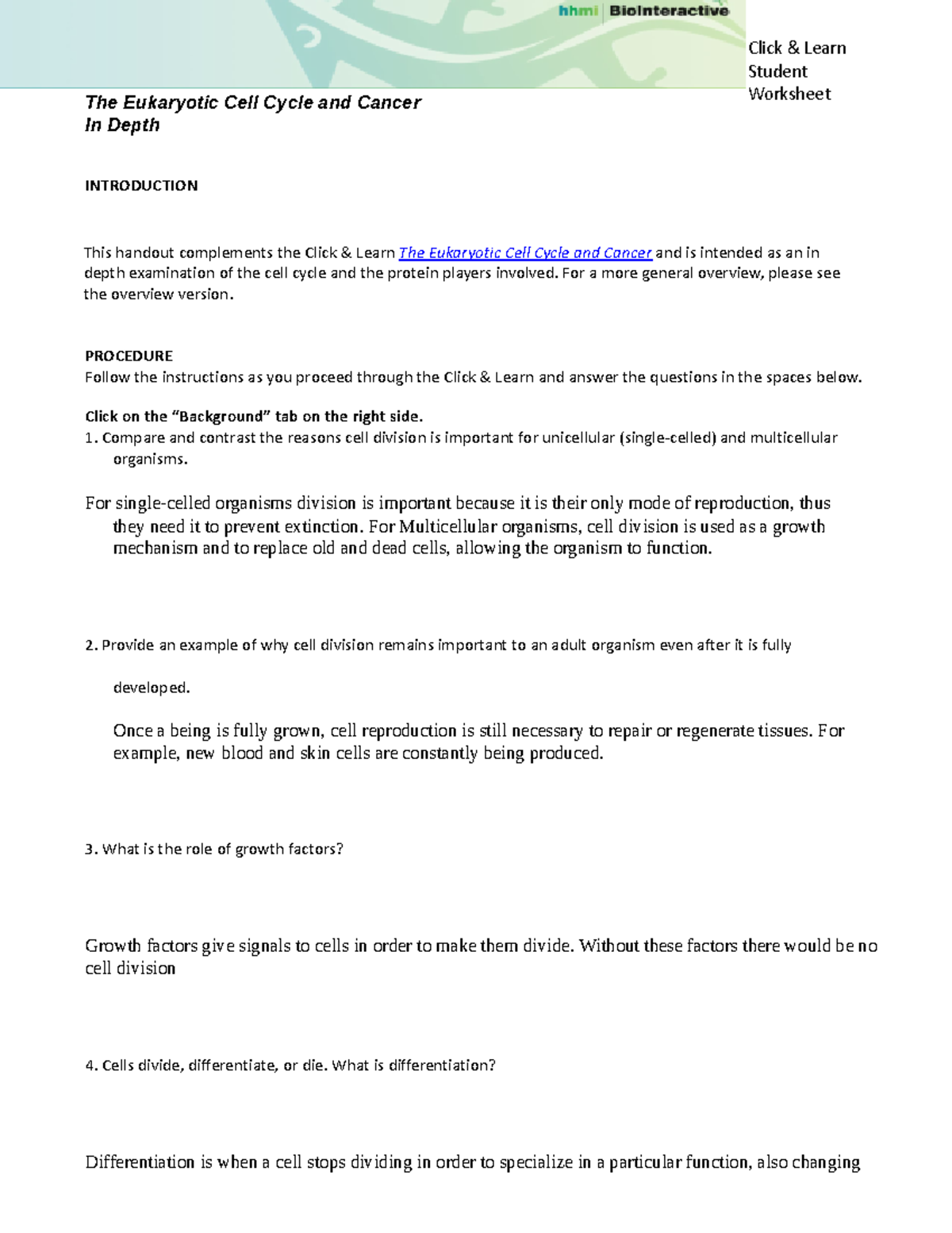 - Cell Cycle In Depth Interactive - Google Docs - The Eukaryotic Cell ...