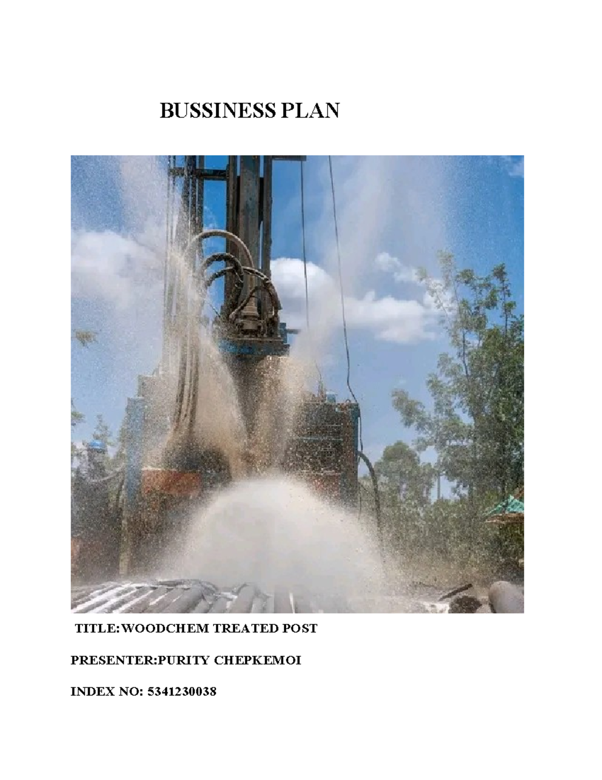 Alice Business PLAN Final Draft - BUSSINESS PLAN TITLE:WOODCHEM TREATED ...