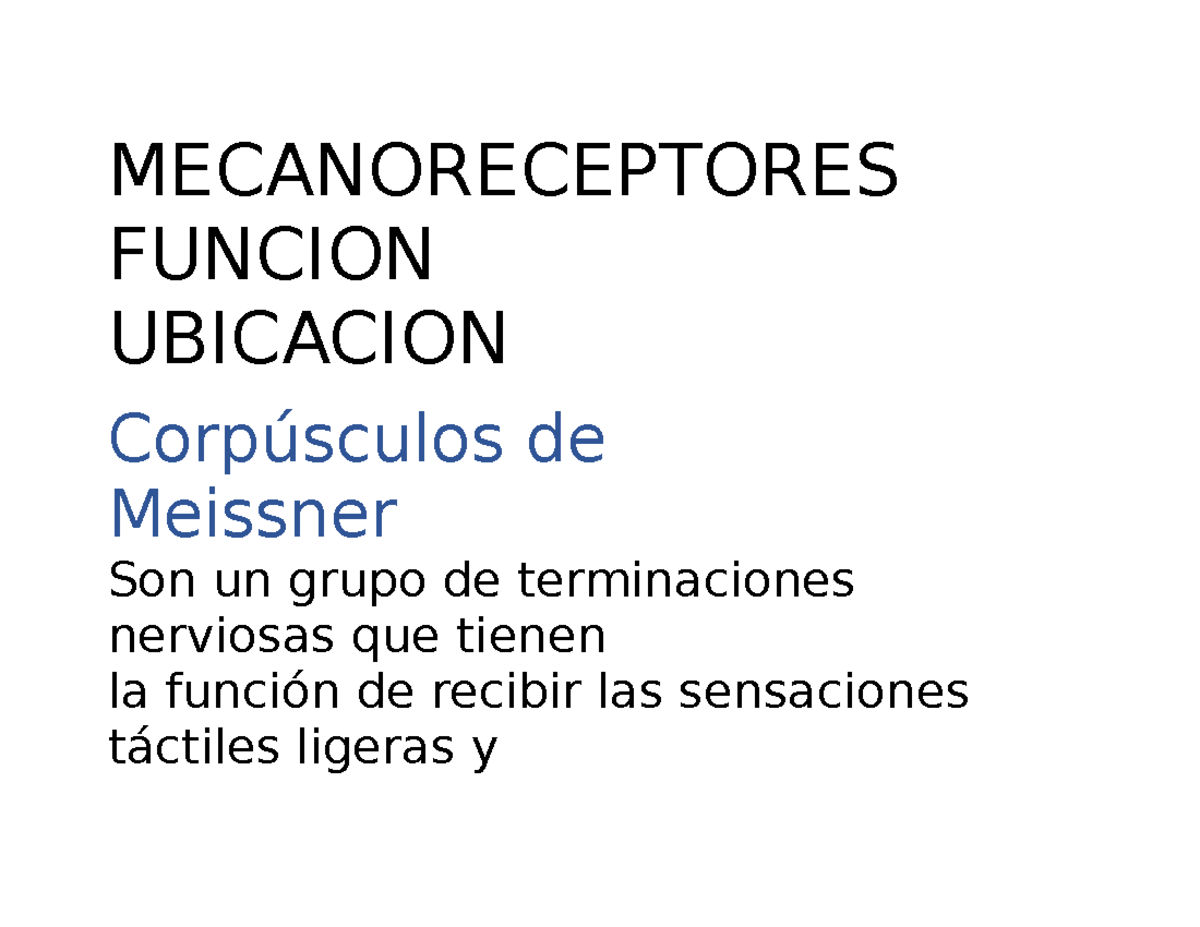 Mecanoreceptores - material - MECANORECEPTORES FUNCION UBICACION ...