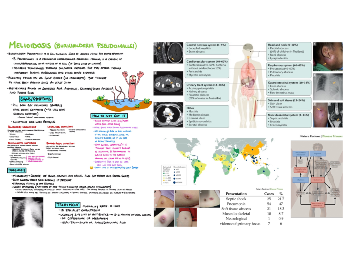 Burkholderia teaching - MELIOIDOSIS (BURKHOLDERIA PSEUDOMALLEI) Central ...