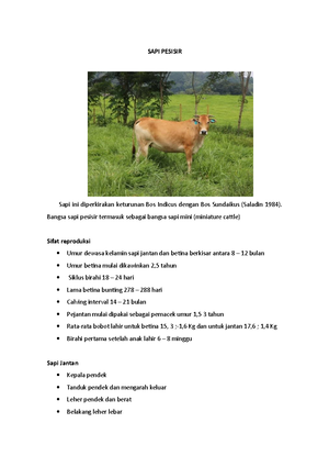 Organ Pencernaan Babi - ORGAN PENCERNAAN BABI Organ Pencernaan Babi ...