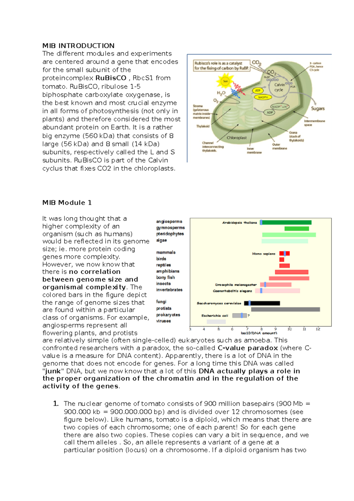 MIB Module 1 - MIB INTRODUCTION The different modules and experiments ...