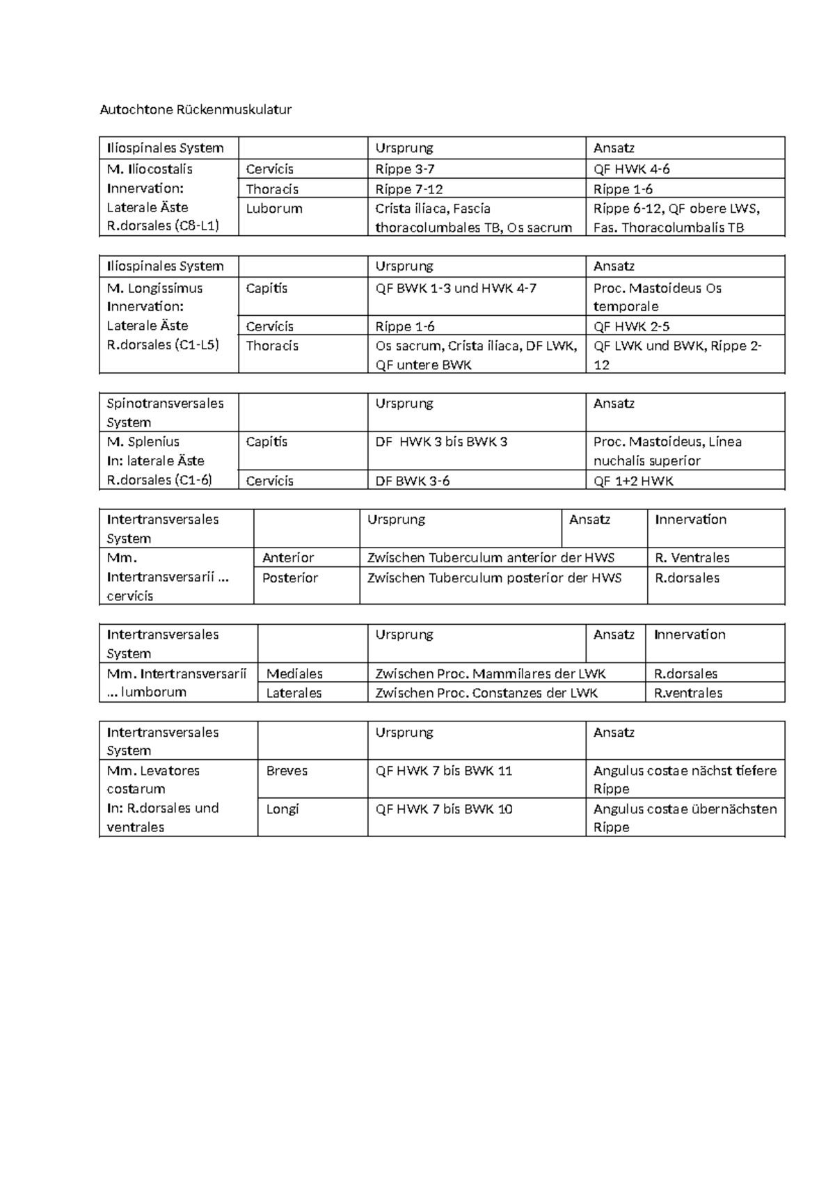 Autochtone Rückenmuskulatur - Autochtone Rückenmuskulatur Iliospinales ...