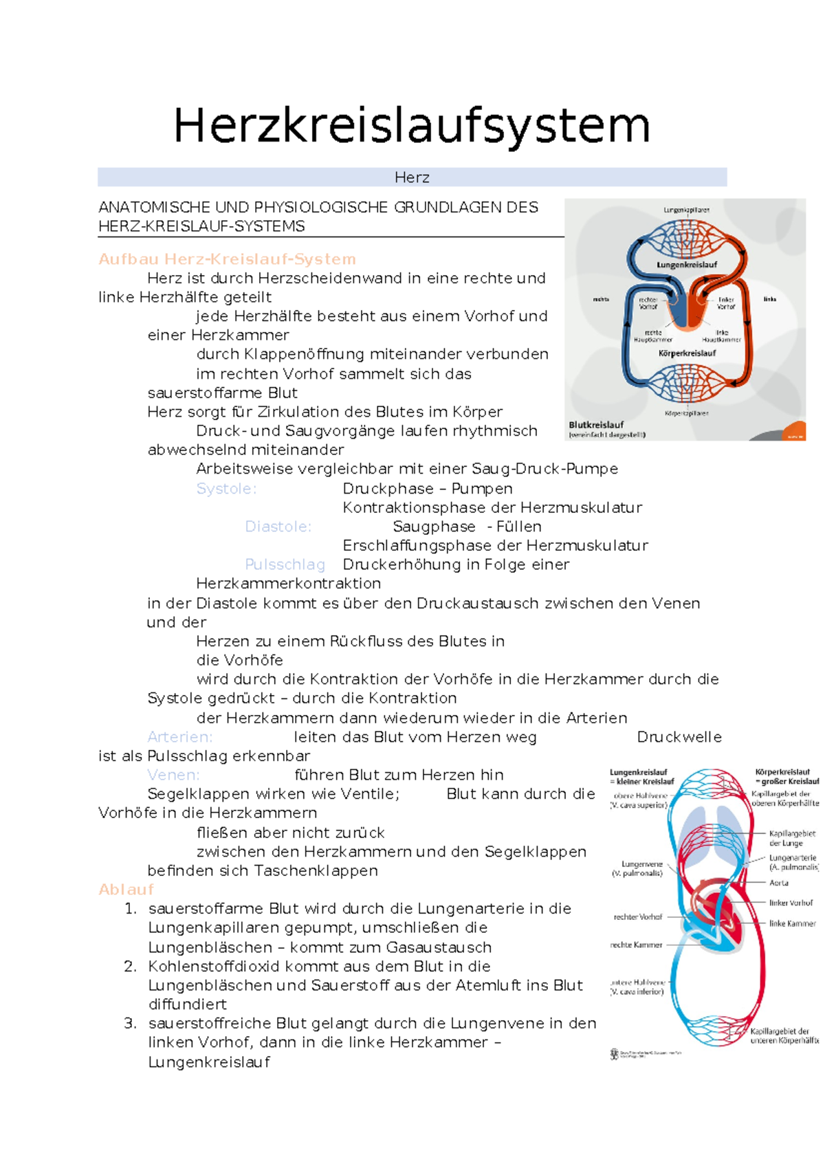 02 Herzkreislaufsystem - Herzkreislaufsystem Herz ANATOMISCHE UND ...