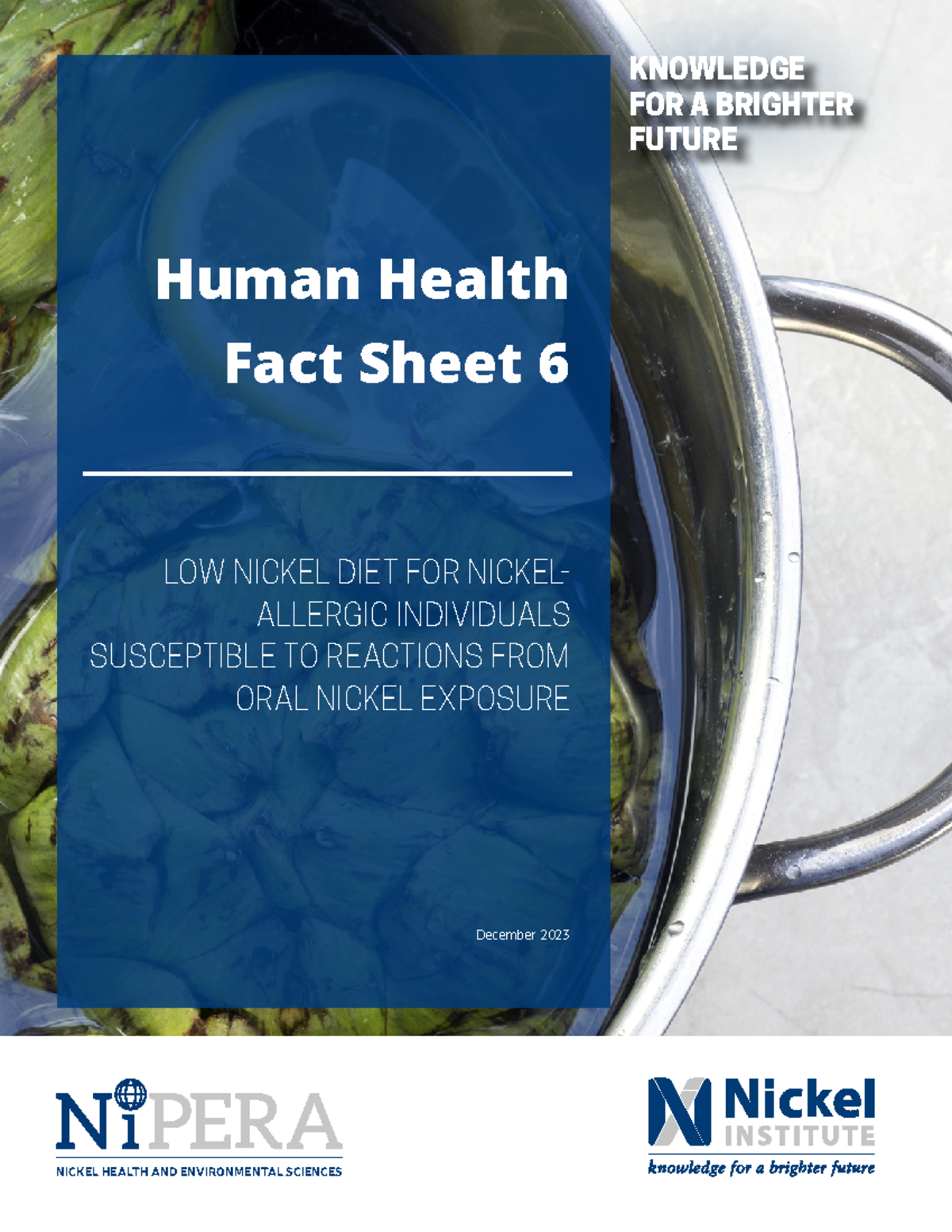 Human health fact sheet 6 december 2023 - NICKEL HEALTH AND ...