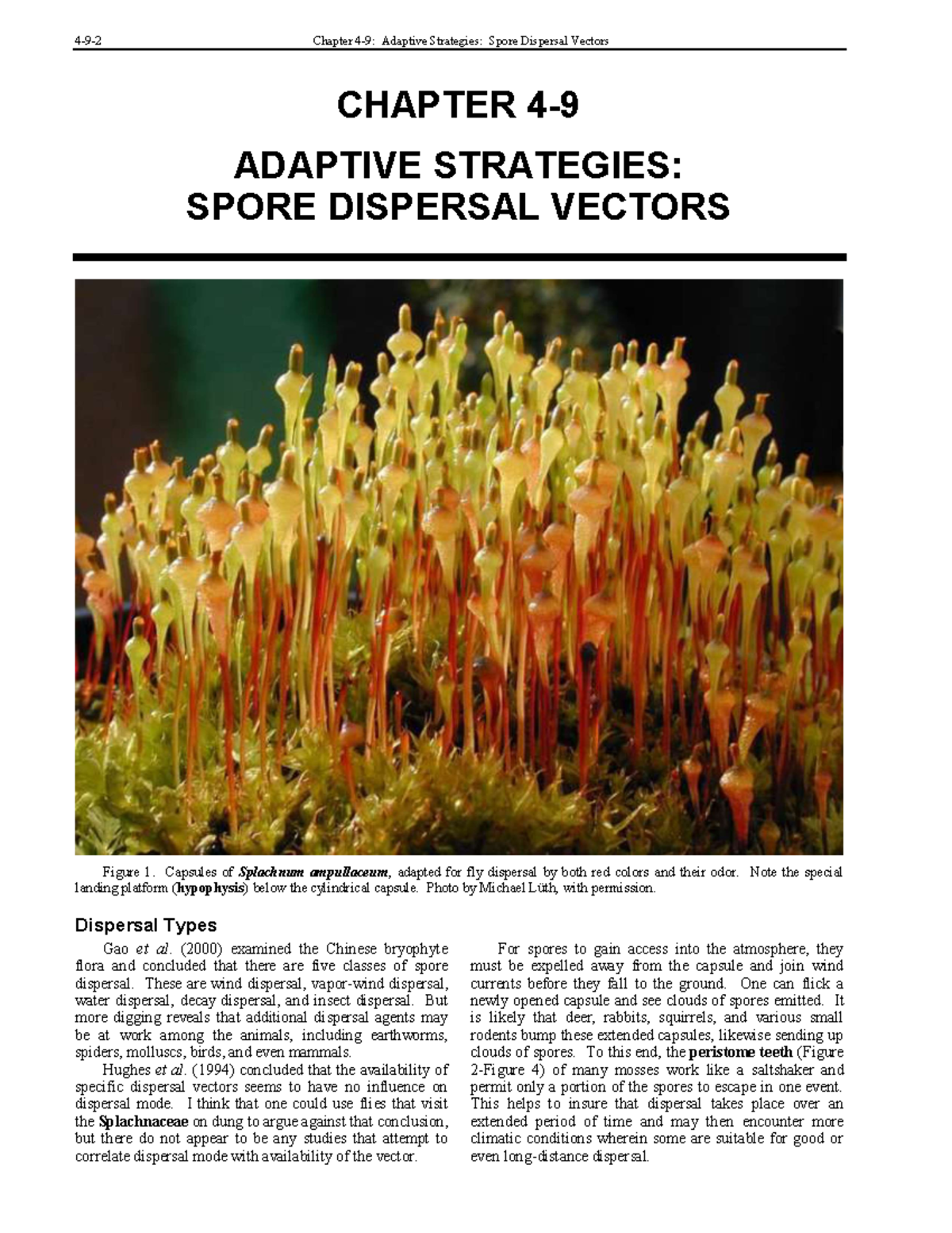 Bryophyte spore dispersal - 4-9-2 Chapter 4-9: Adaptive Strategies ...