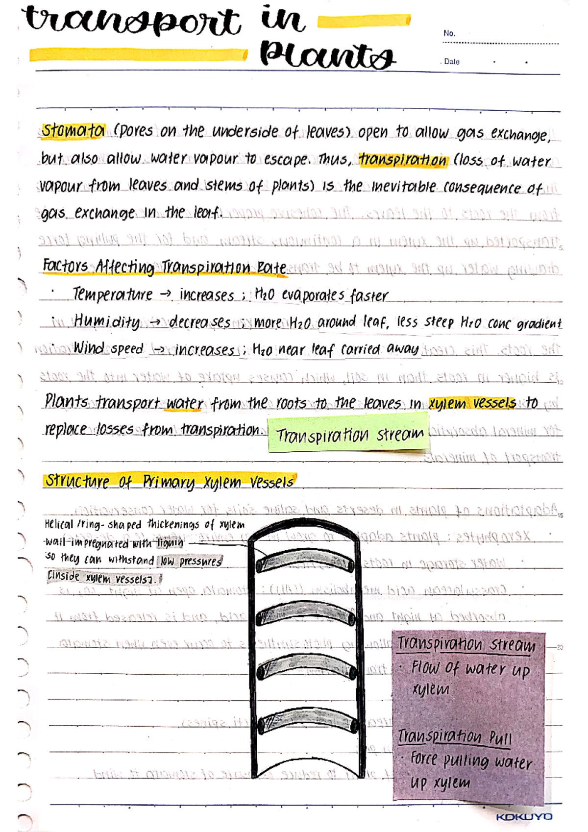 Topic 9 - Plant Biology - n/a - Studocu