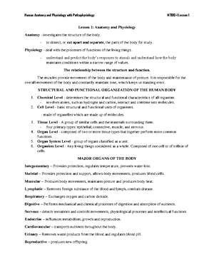 Father Pedro de Valderrama - The First Catholic Mass in the Philippines ...