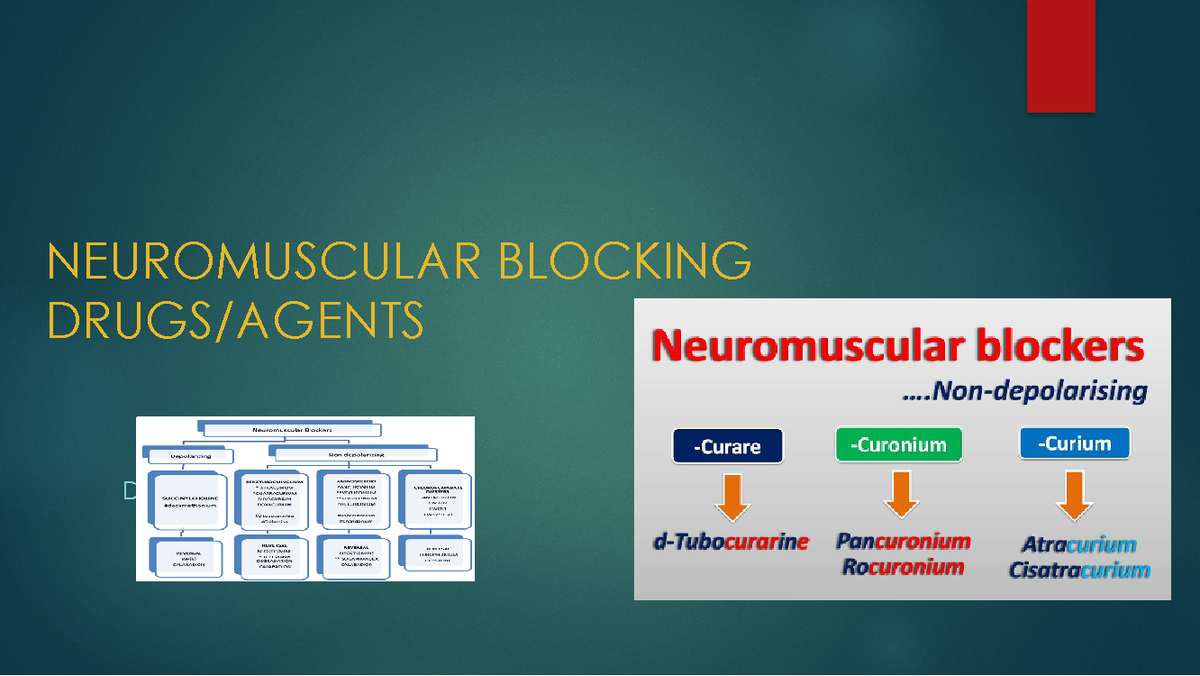 Neuromuscular Blocking Drugs - NEUROMUSCULAR BLOCKING DRUGS/AGENTS DR ...