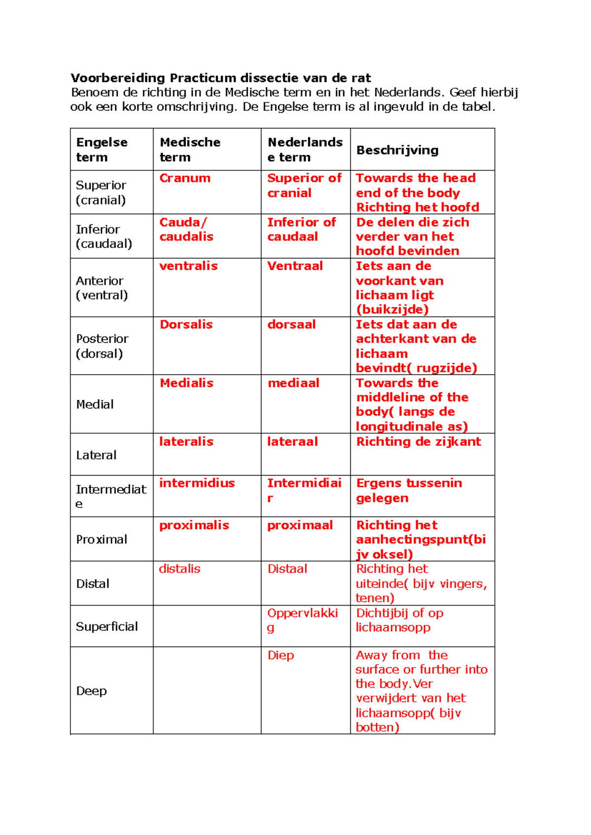 Voorbereiding Practicum dissectie van de rat VAM PT1 - Voorbereiding ...