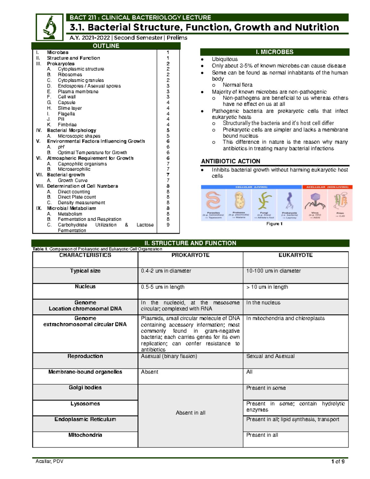 Bacteria Structure Function, Growth, and Nutrition - BACT 211 ...