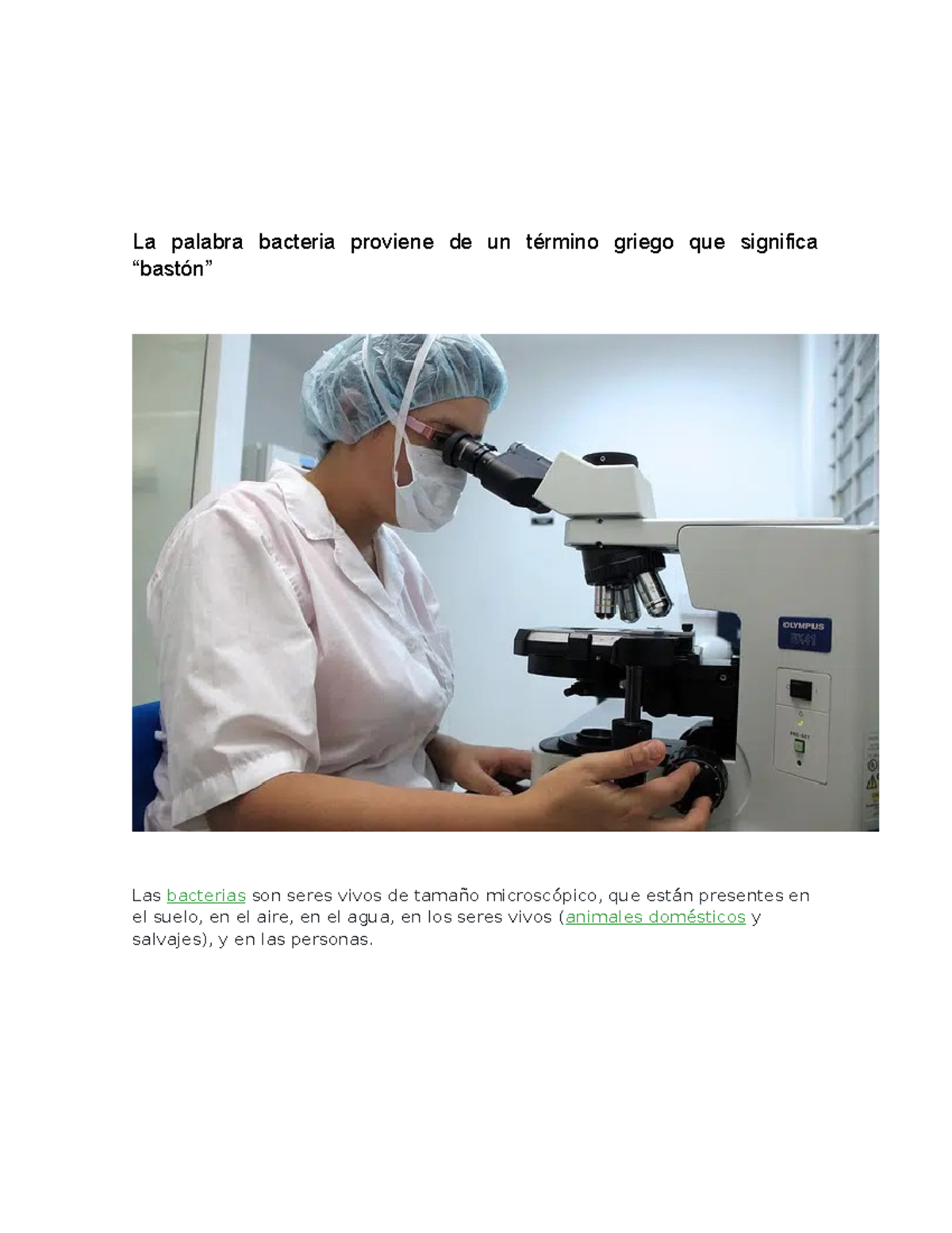 Bacterias perjudiciales para la salud en el ser humano - Biologia - La ...