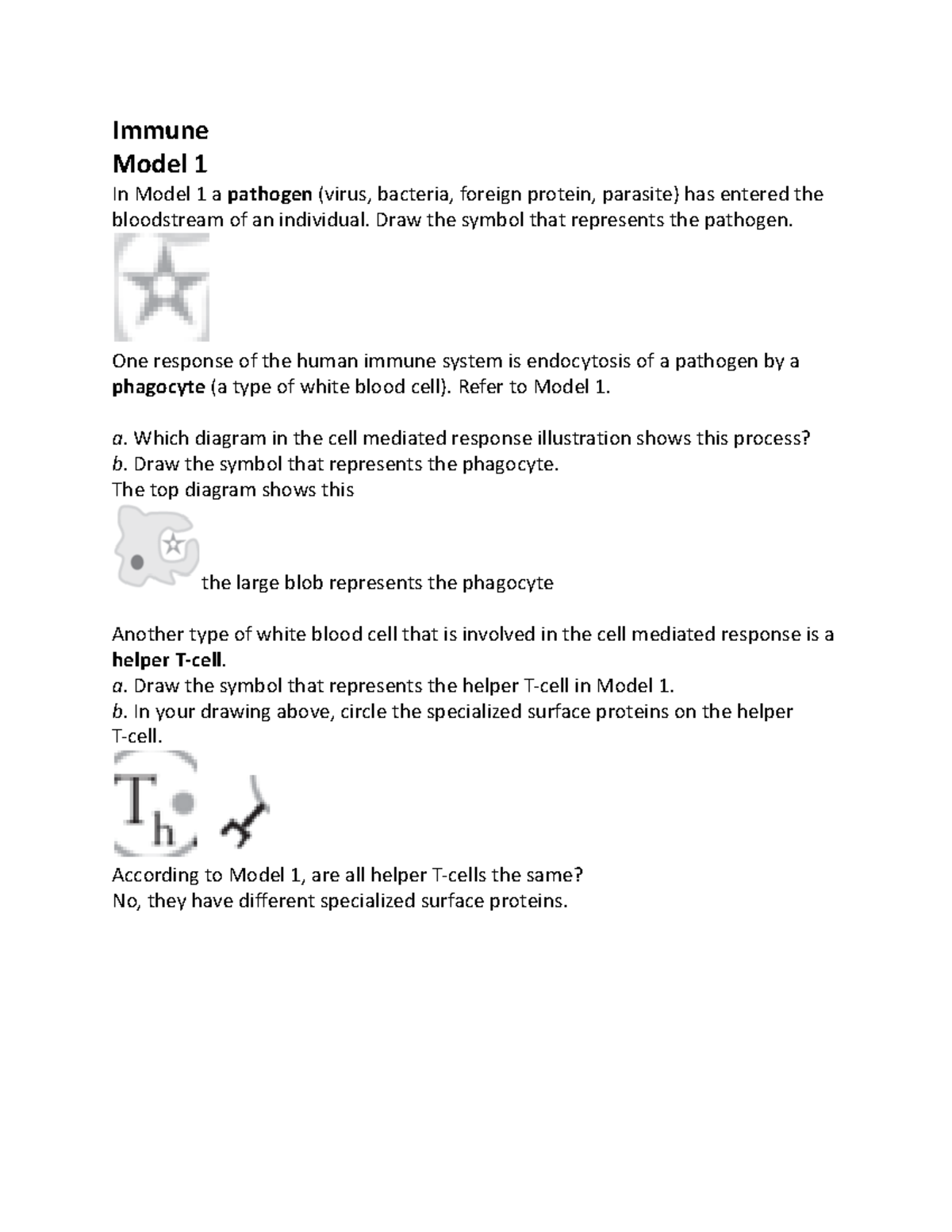 1 - AP Biology - Immune Model 1 In Model 1 abloodstream of an ...