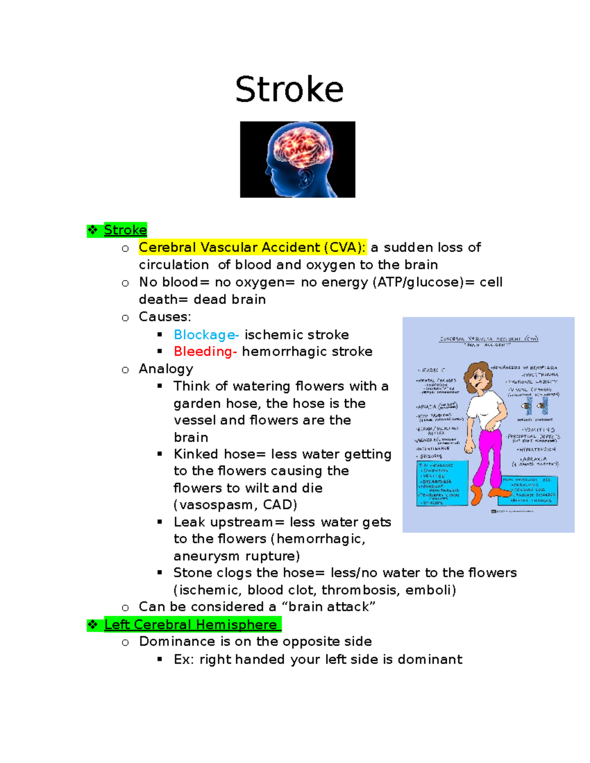 Stroke - Studocu