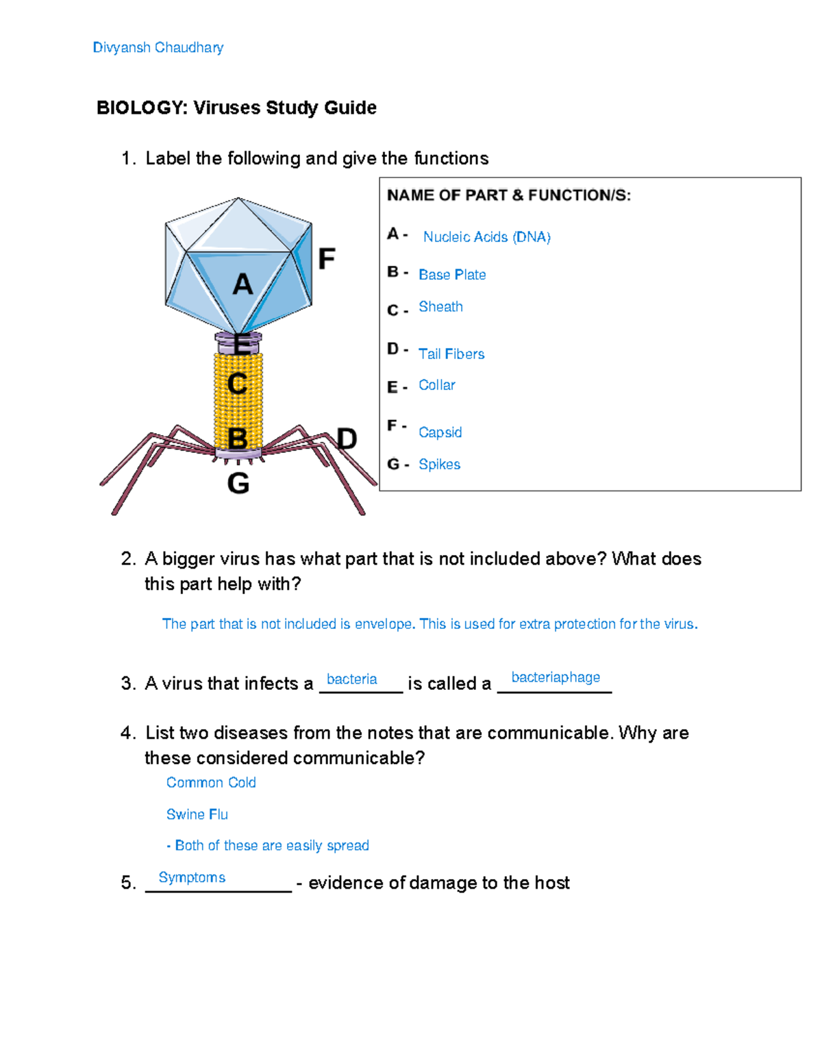 Viruses SG - It is basically yea - BIOLOGY: Viruses Study Guide 1 ...