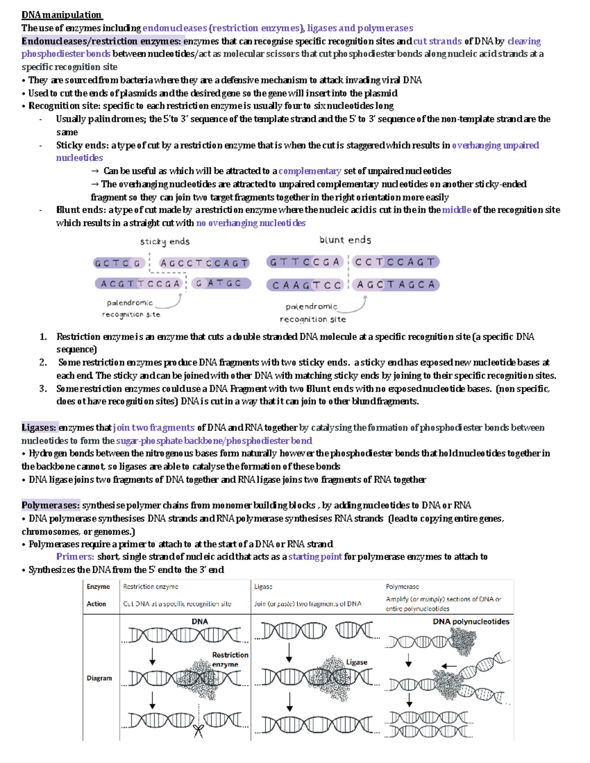 DNA manipulation - Google Docs - **DNA manipulation ** The use of ...