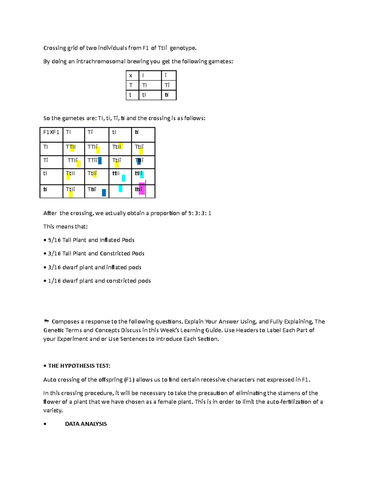 Crossing grid of two individuals from F1 of Tt Ii genotype - By doing ...