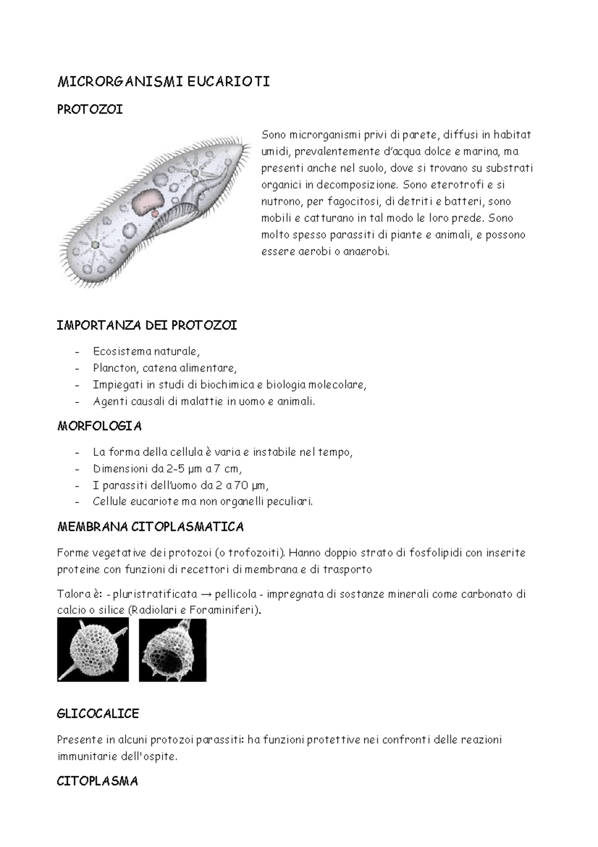 Microrganismi Eucarioti - MICRORGANISMI EUCARIOTI PROTOZOI Sono ...