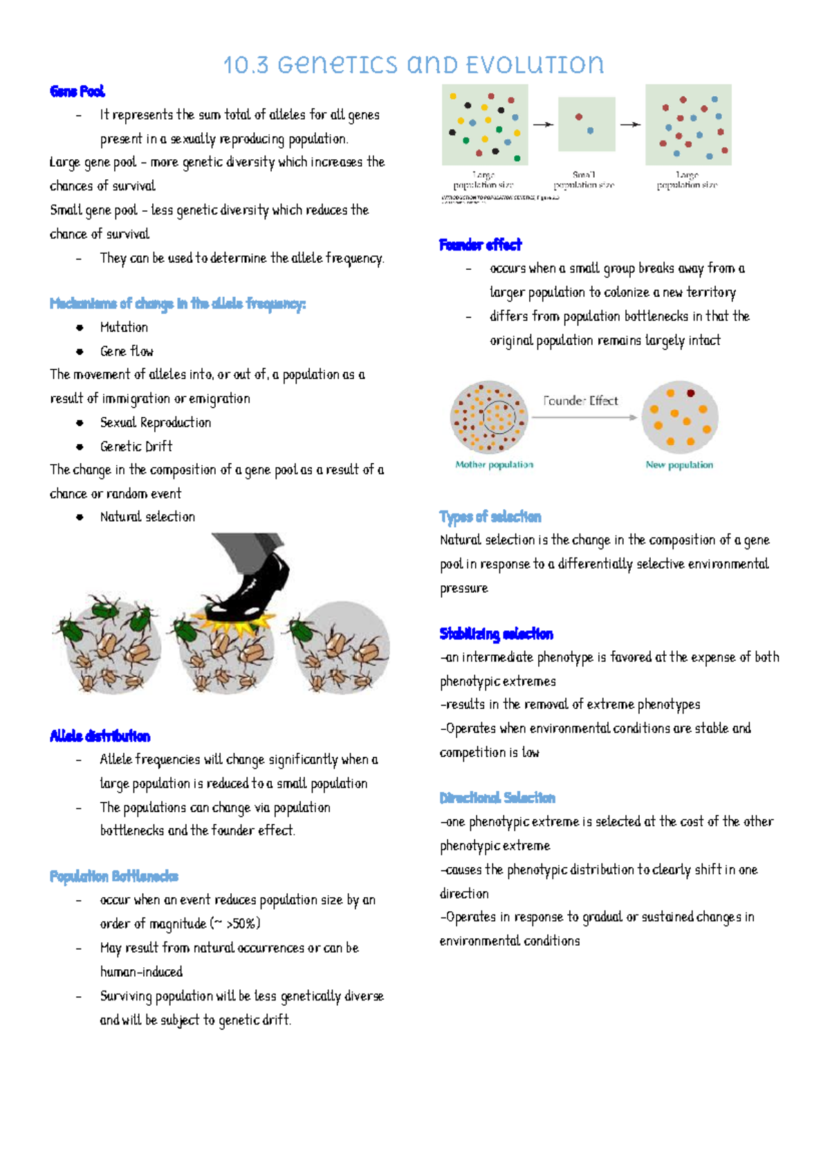 Genetic and Evolution - Student Notes - 10 Genetics and Evolution Gene ...