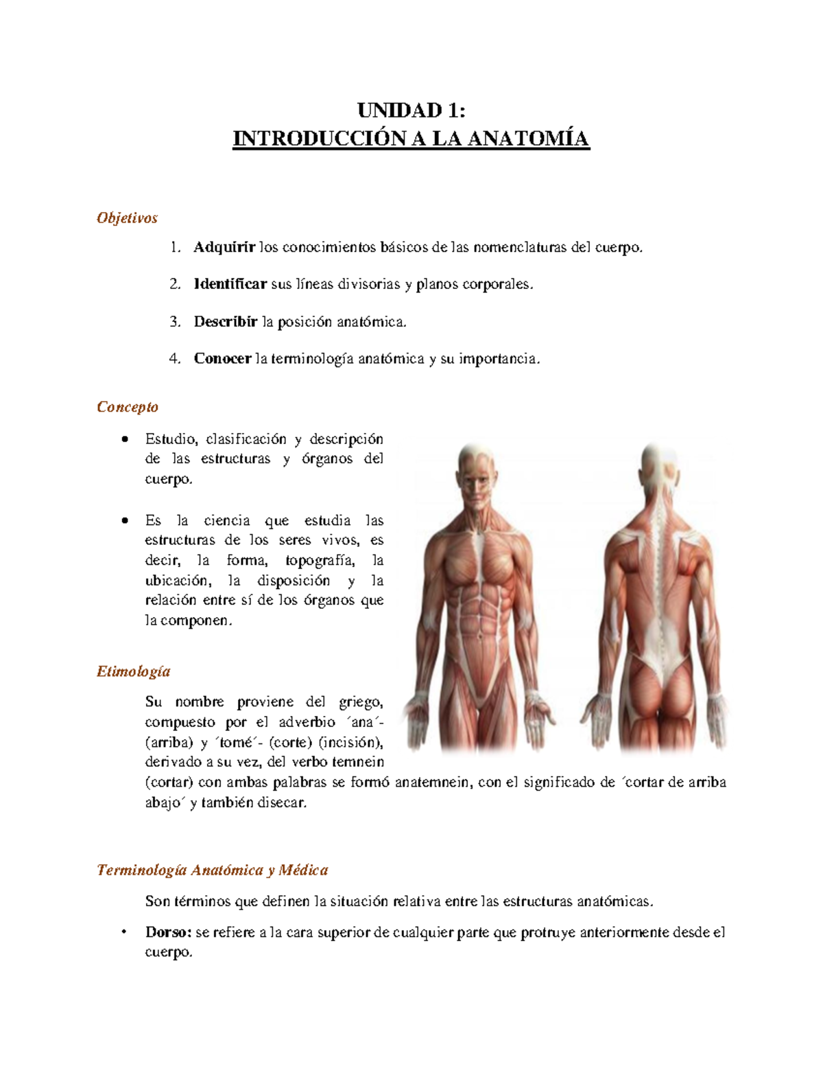 1. Introducción a la Anatomía - UNIDAD 1: INTRODUCCIÓN A LA ANATOMÍA Objetivos Adquirir los ...