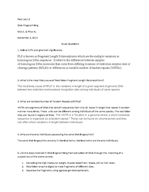 Enzyme Lab Report - FACTORS AFFECTING AMYLASE ENZYME ACTIVITY (ENZYME ...