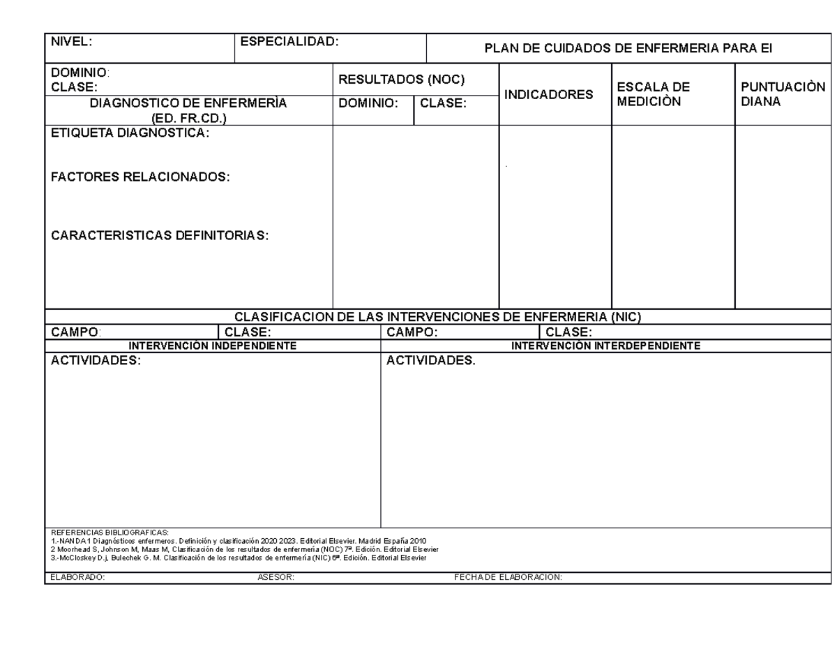 Formato de PLACE - NIVEL: ESPECIALIDAD: PLAN DE CUIDADOS DE ENFERMERIA ...