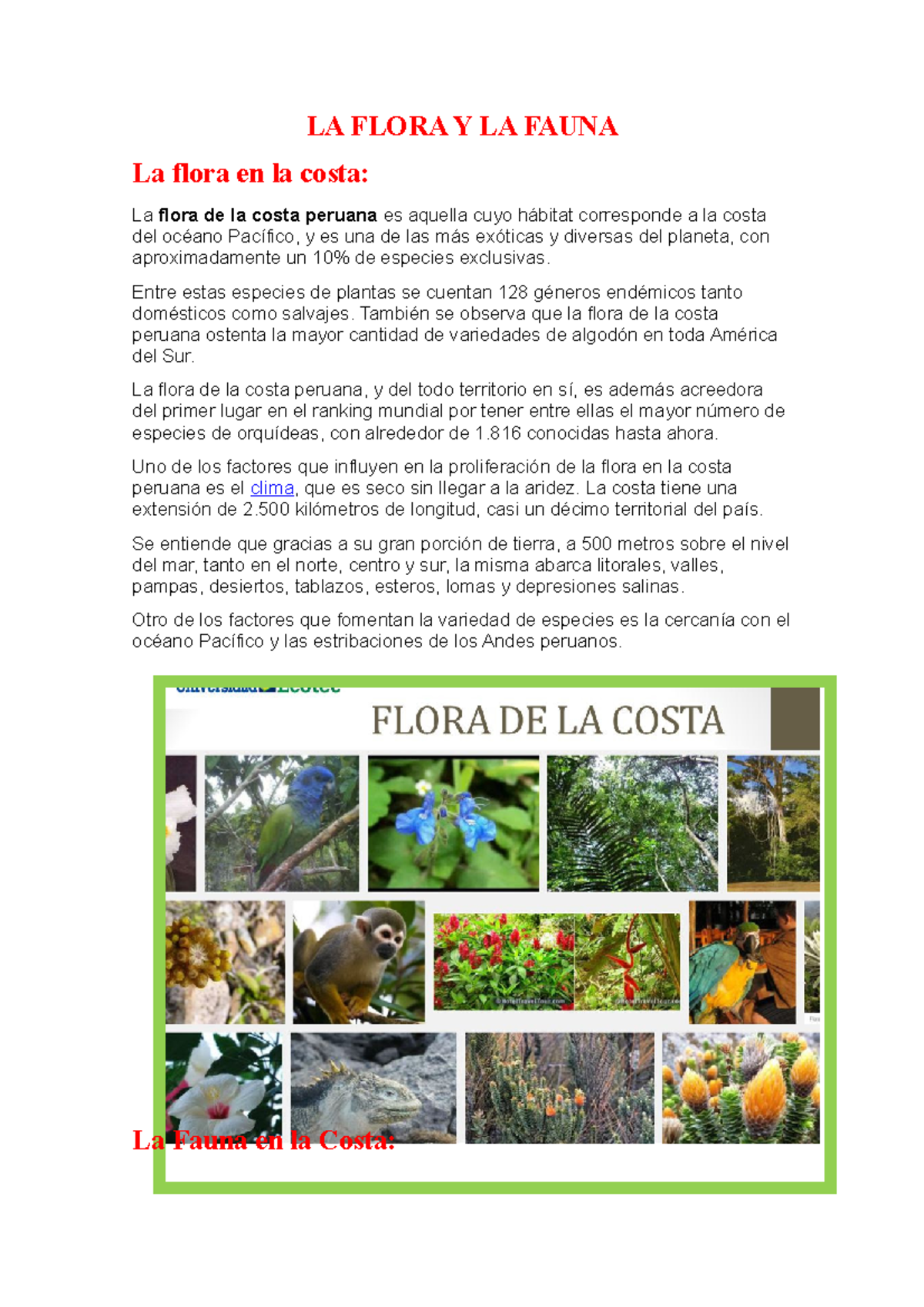 LA Flora Y LA Fauna - porfavor dame preimuuuuuuuun - LA FLORA Y LA FAUNA La flora en la costa ...