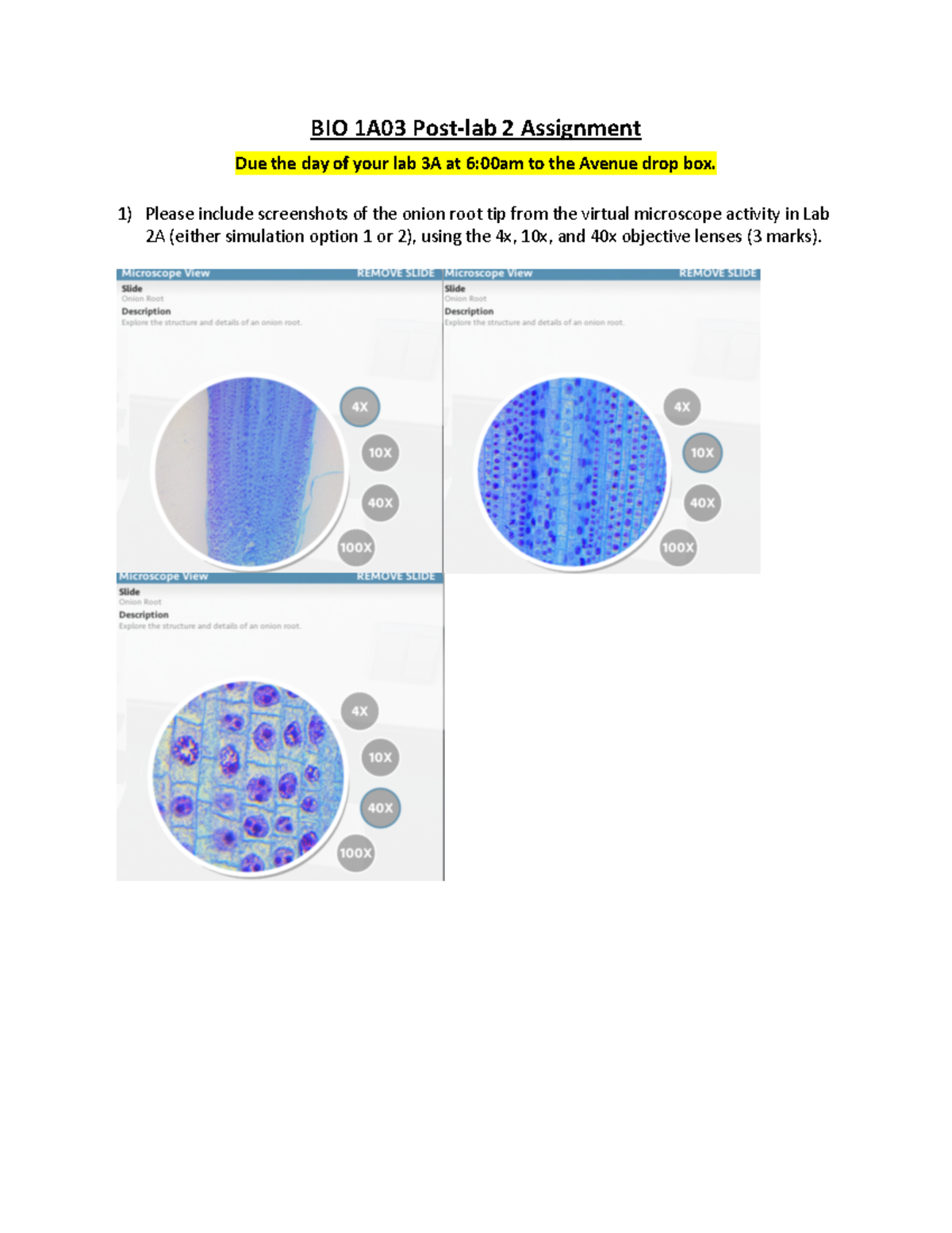 Post-lab 2 Assignment F2021 - Bio 1A03 - McMaster - Studocu