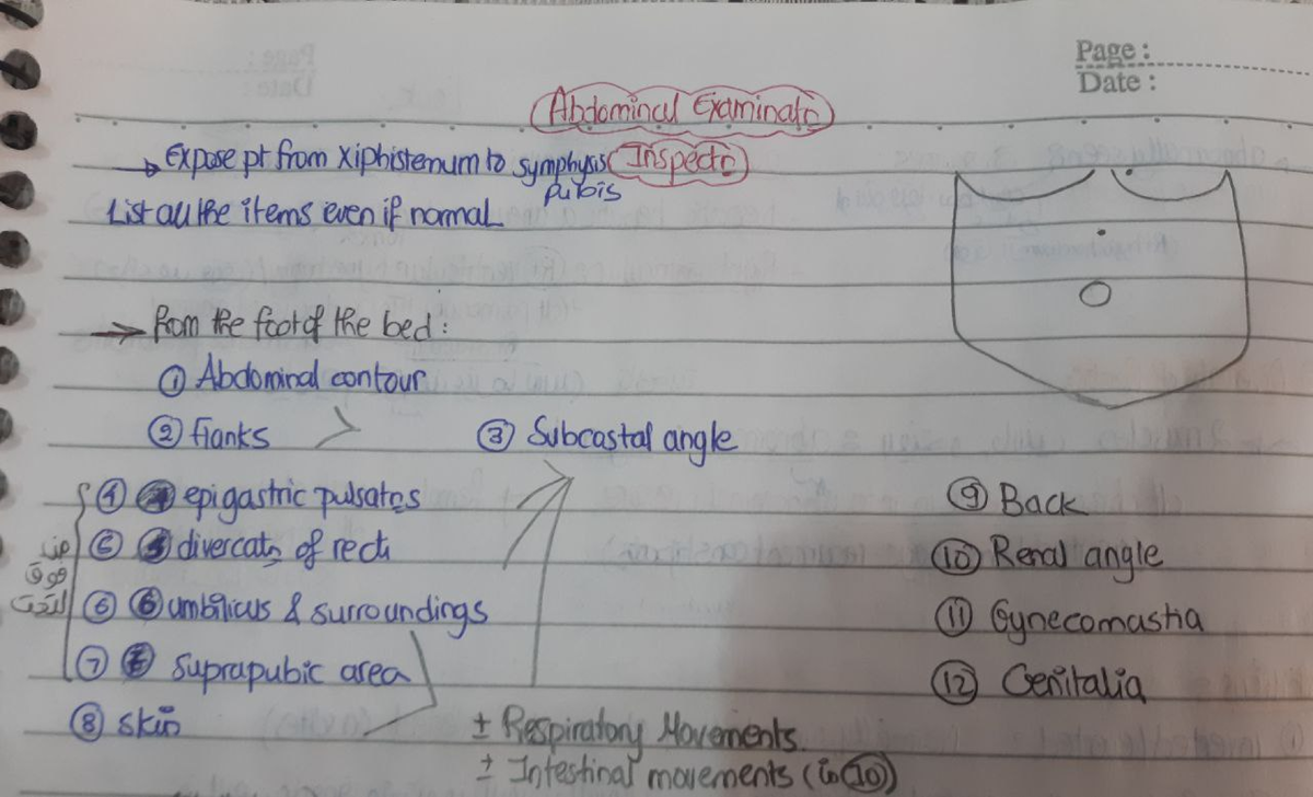 Inspection-of-abdomen - Anatomy, Embeyology, Arthology, Angiology - Studocu