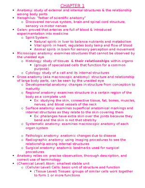 Anatomy Exam 1 Study Guide - CHAPTER 1 Anatomy: study of external and ...