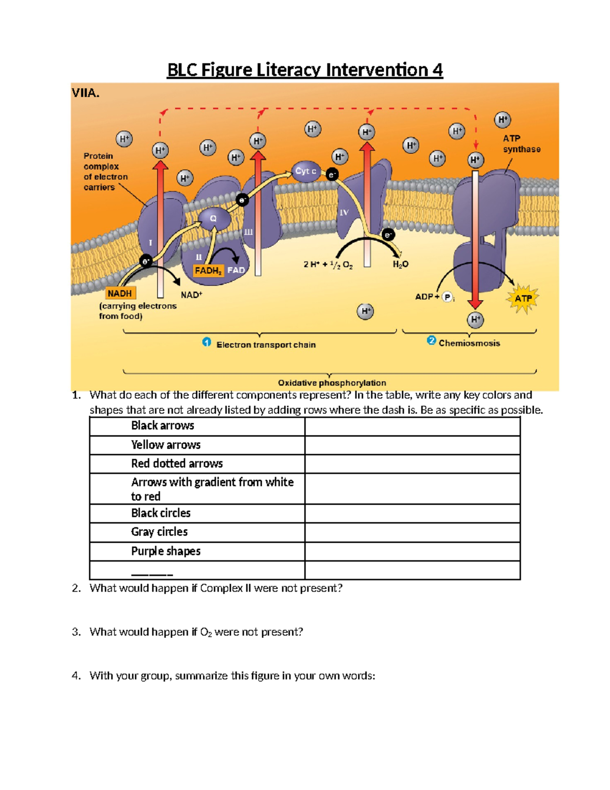 BLC Figure Literacy Intervention 4-1 - 1. What do each of the different ...