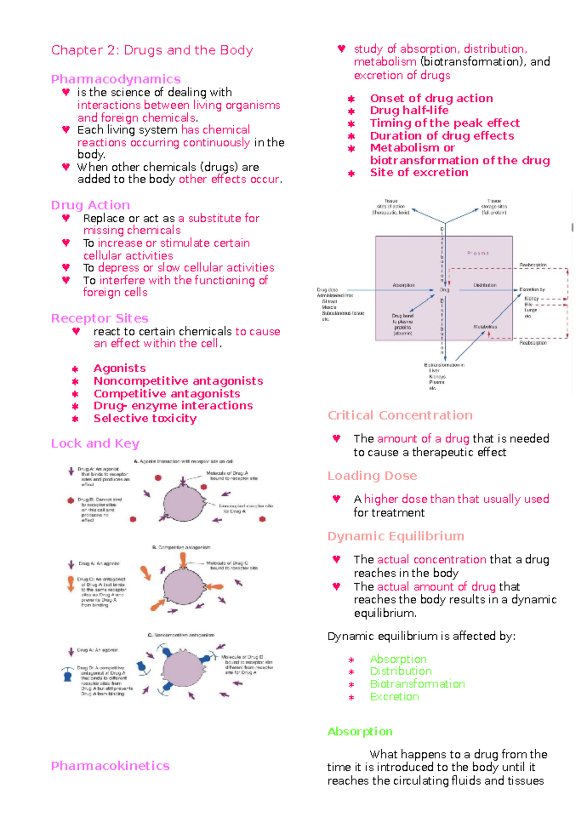 C2 notes pharma - chapter 2: Drugs and the Body - Chapter 2: Drugs and ...