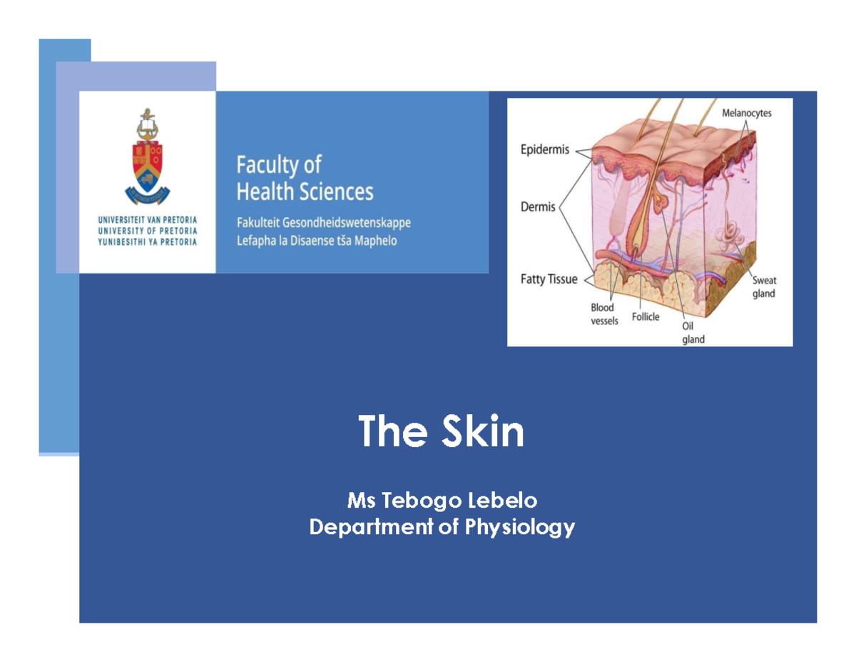 Thermo - The Skin Ms Tebogo Lebelo Department of Physiology ...