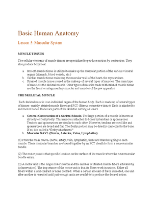 Basic Human Anatomy 8 - Basic Human Anatomy Lesson 8: Urogenital System ...