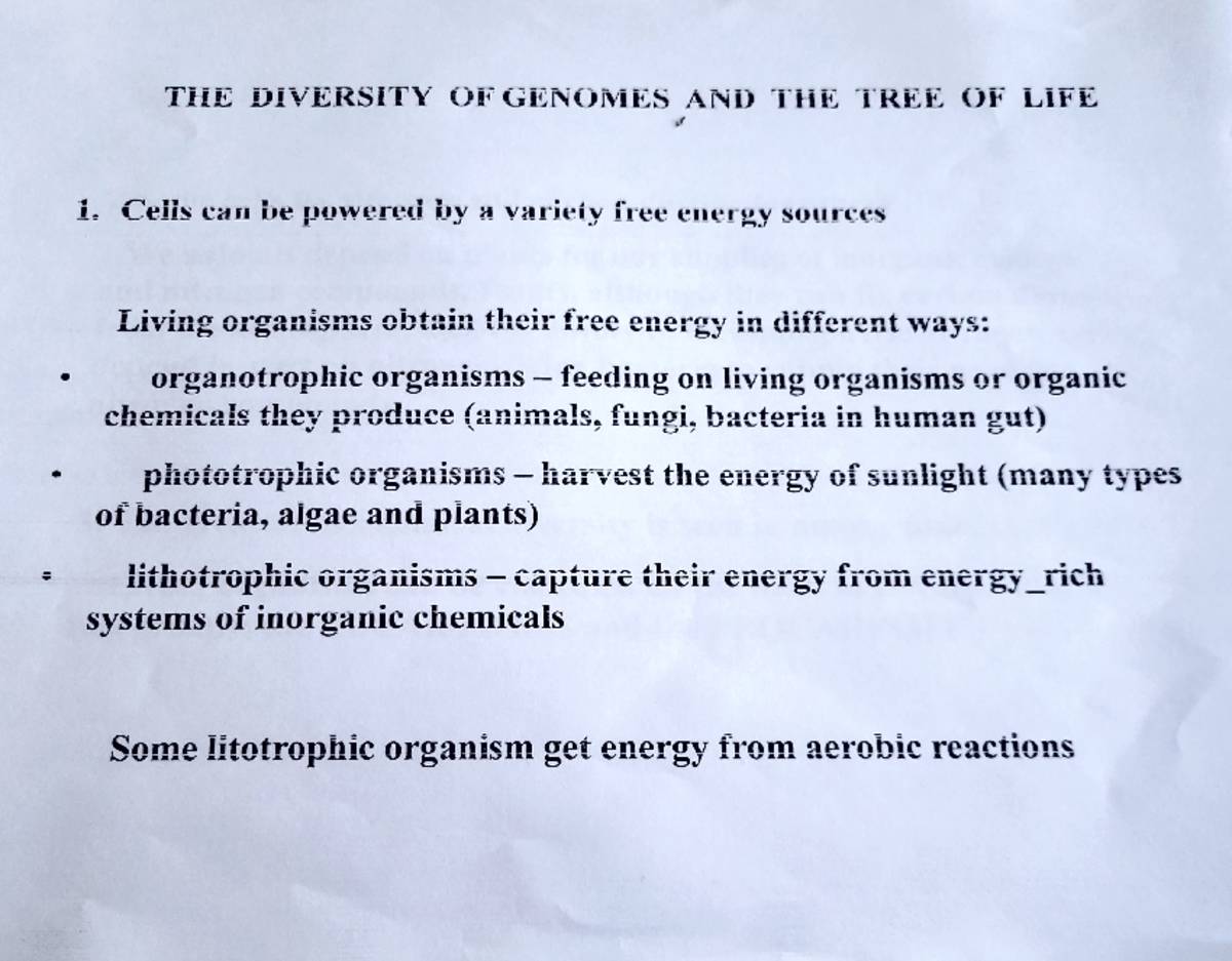 The diversity of genomes and the tree of life - THE DiVERSITY OF GENOi ...