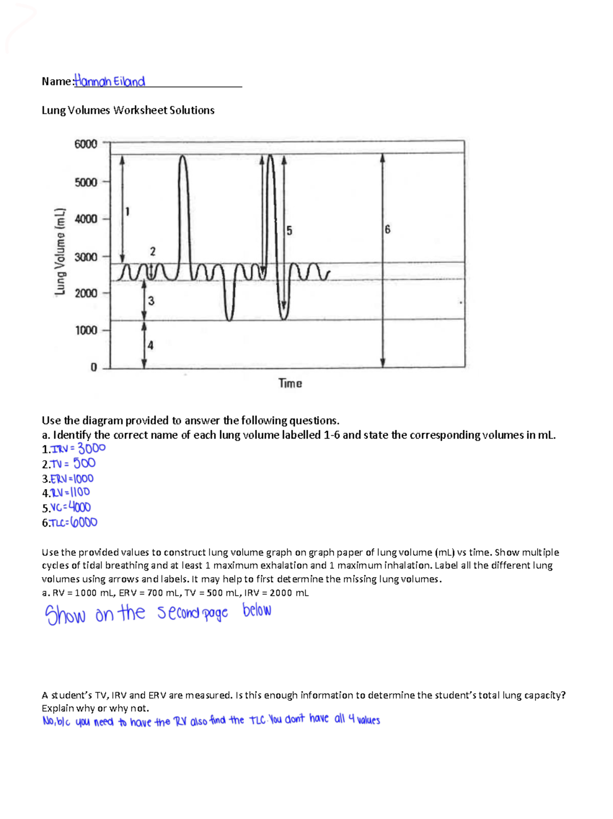 Lung Volumes Wks finished pdf - Name:____________________________ Lung ...