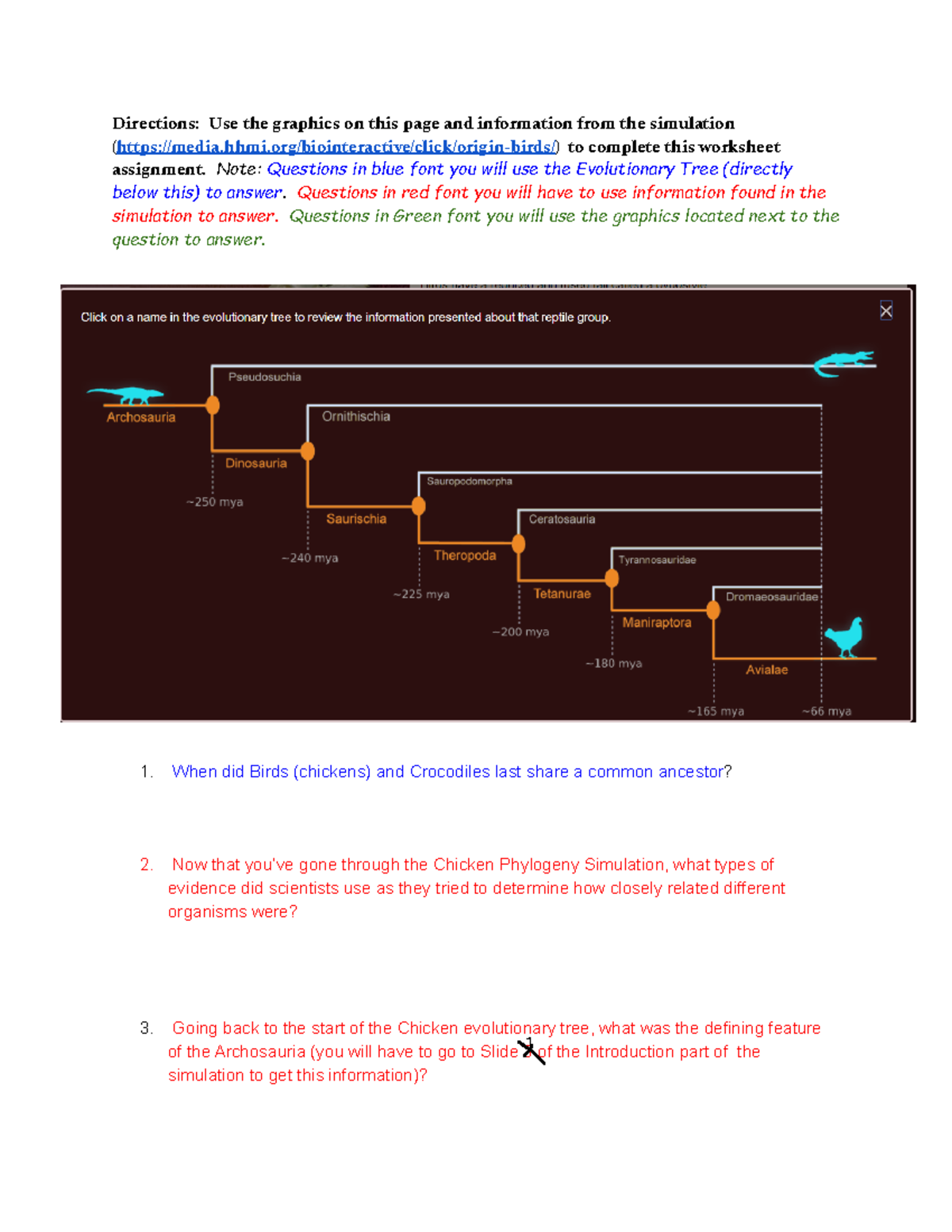Kami Export - john boi - Copy of Chicken Phylogeny Worksheet ...