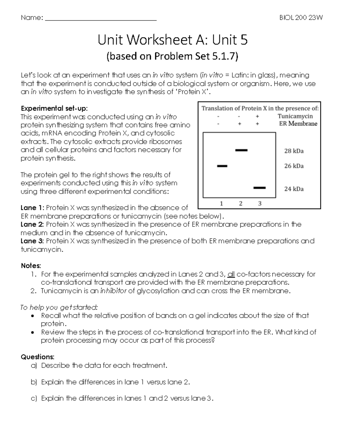 UW Unit5A - worksheet - Name: _________________________________ BIOL ...