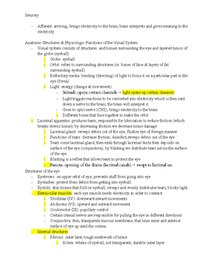 ALT5 - Fall prevention ati basic concept - ACTIVE LEARNING TEMPLATES ...