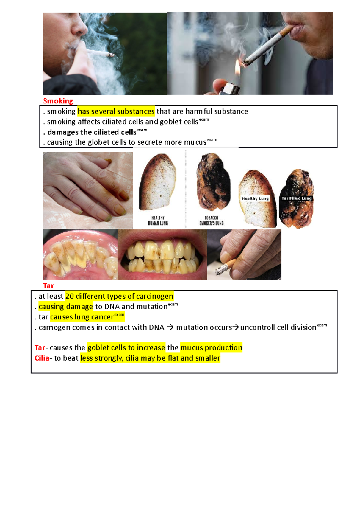 8 Smoking - notes - Smoking . smoking has several substances that are ...