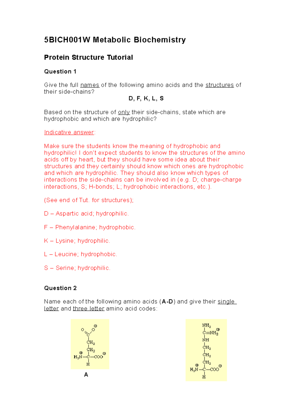 Week 3:T3 - Protein Structure solution - 5BICH001W Metabolic ...