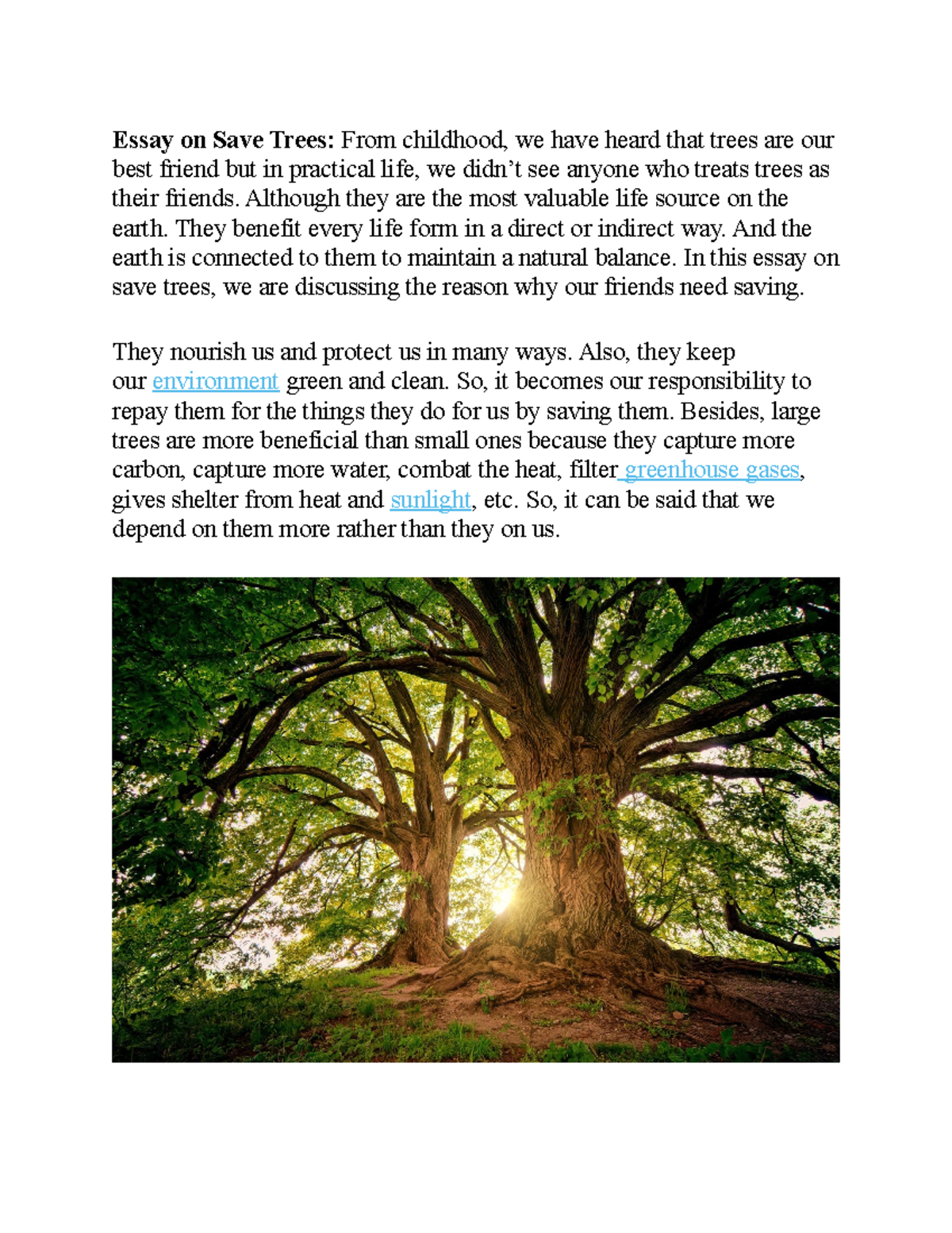 First Report - Important - Essay on Save Trees: From childhood, we have ...